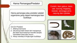 1. Hama Pada Ikan.pdf