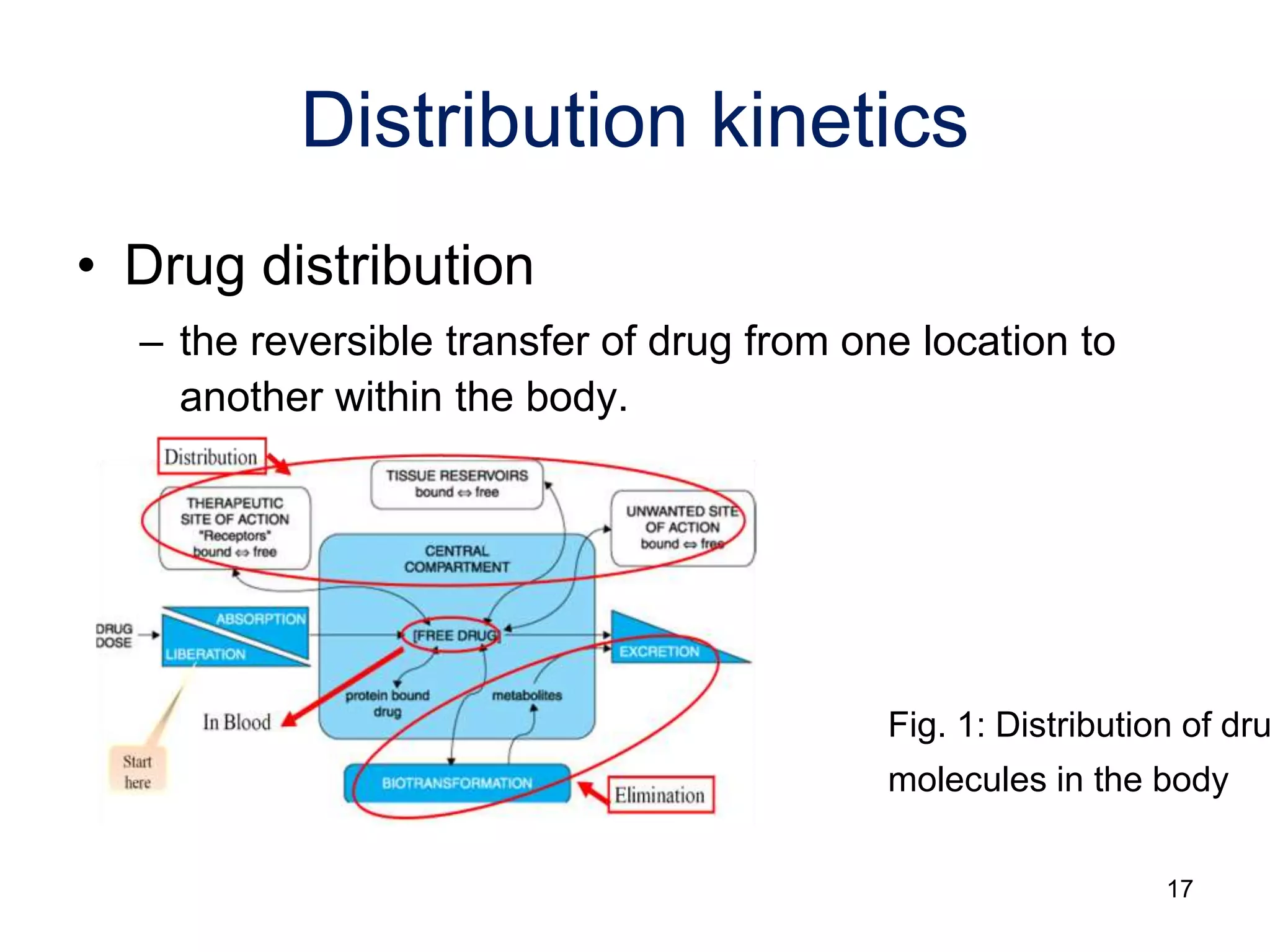 1. Int-Phk-Rate- Model-ADME.pptx