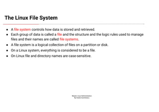 1.1 file_system.pdf