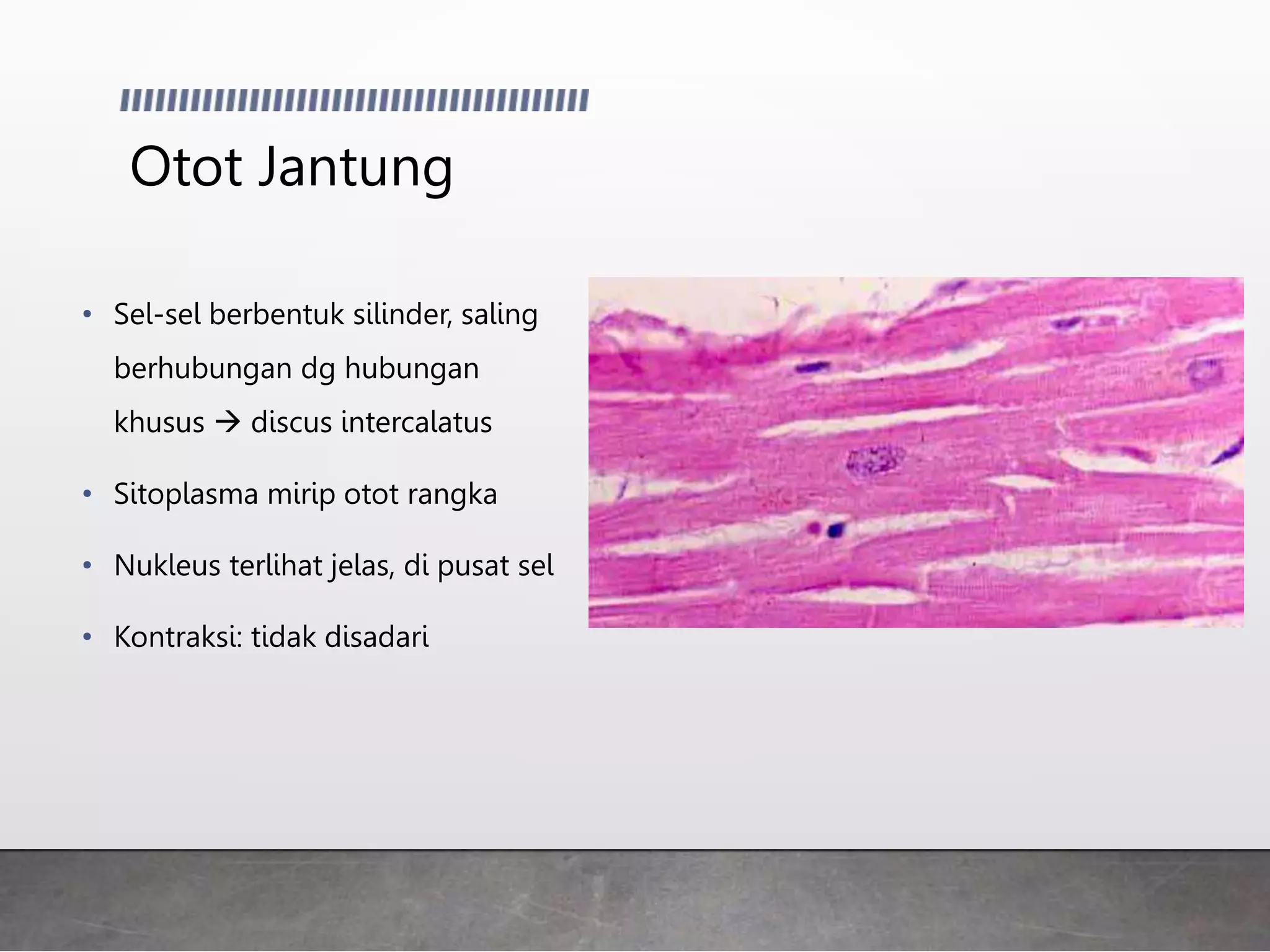 1. ANFIS DASAR.ppt