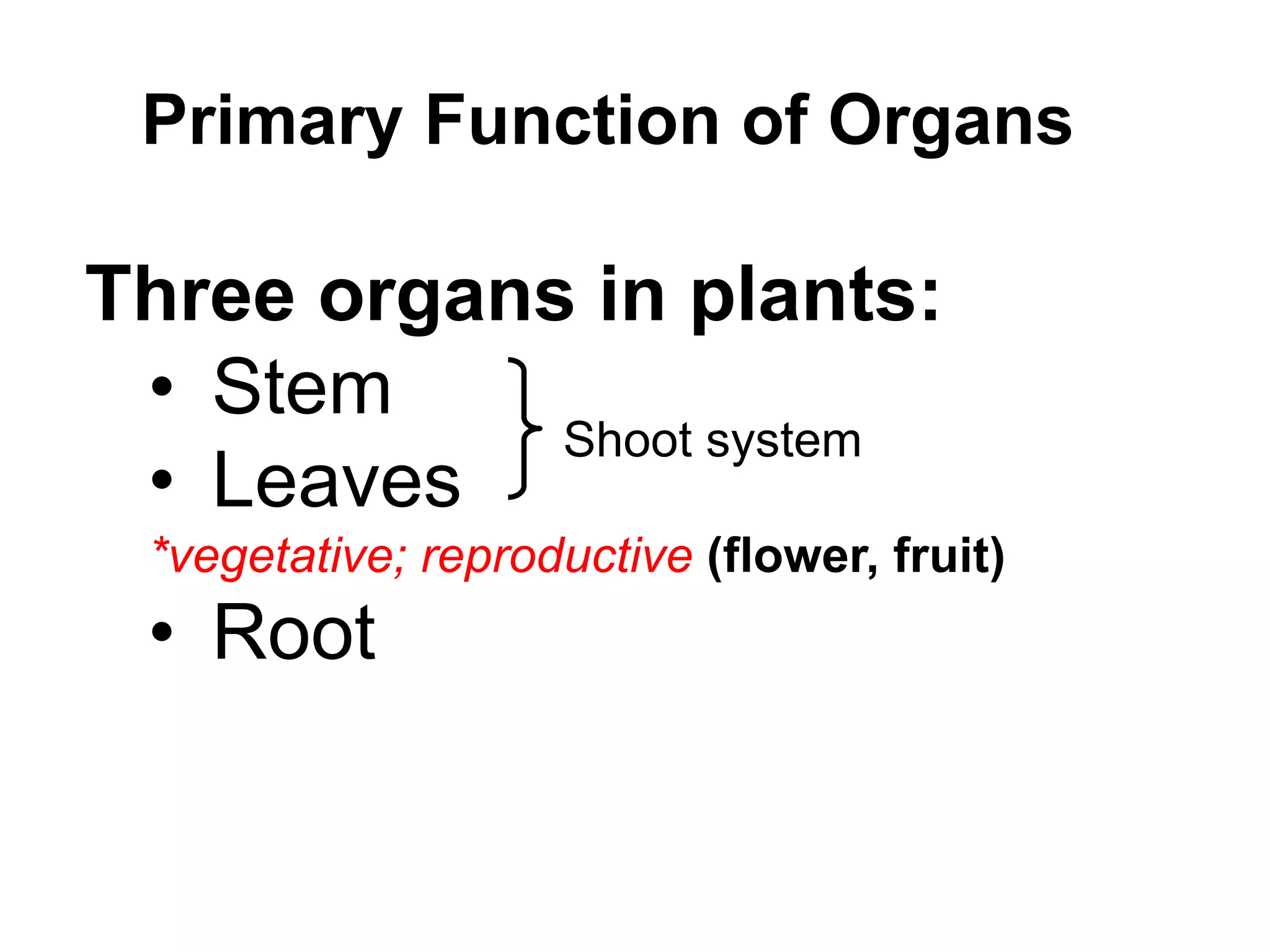 1.-Preliminaries.ppt