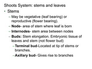 1.-Preliminaries.ppt
