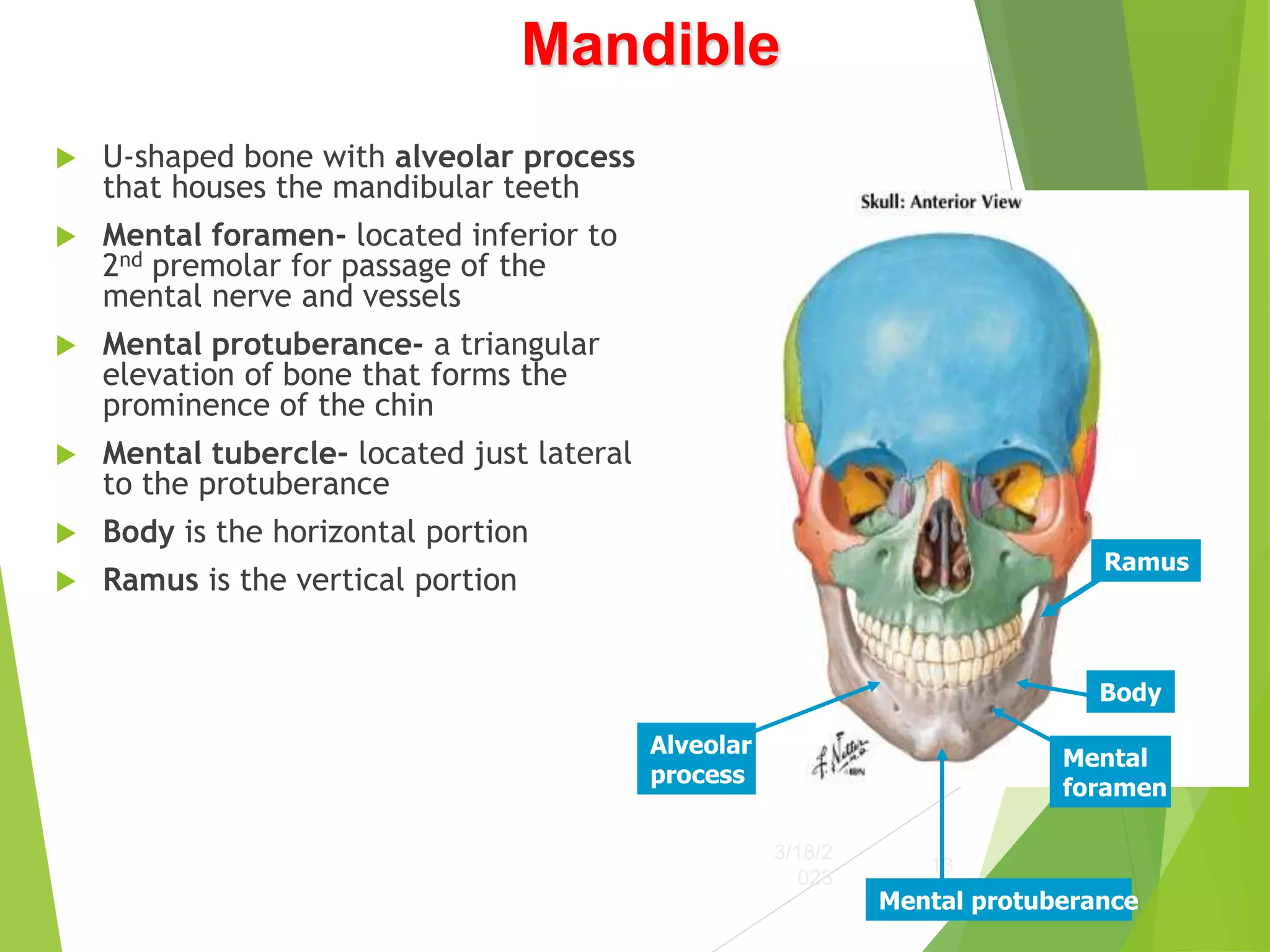 1. Osteology of Skull.ppt