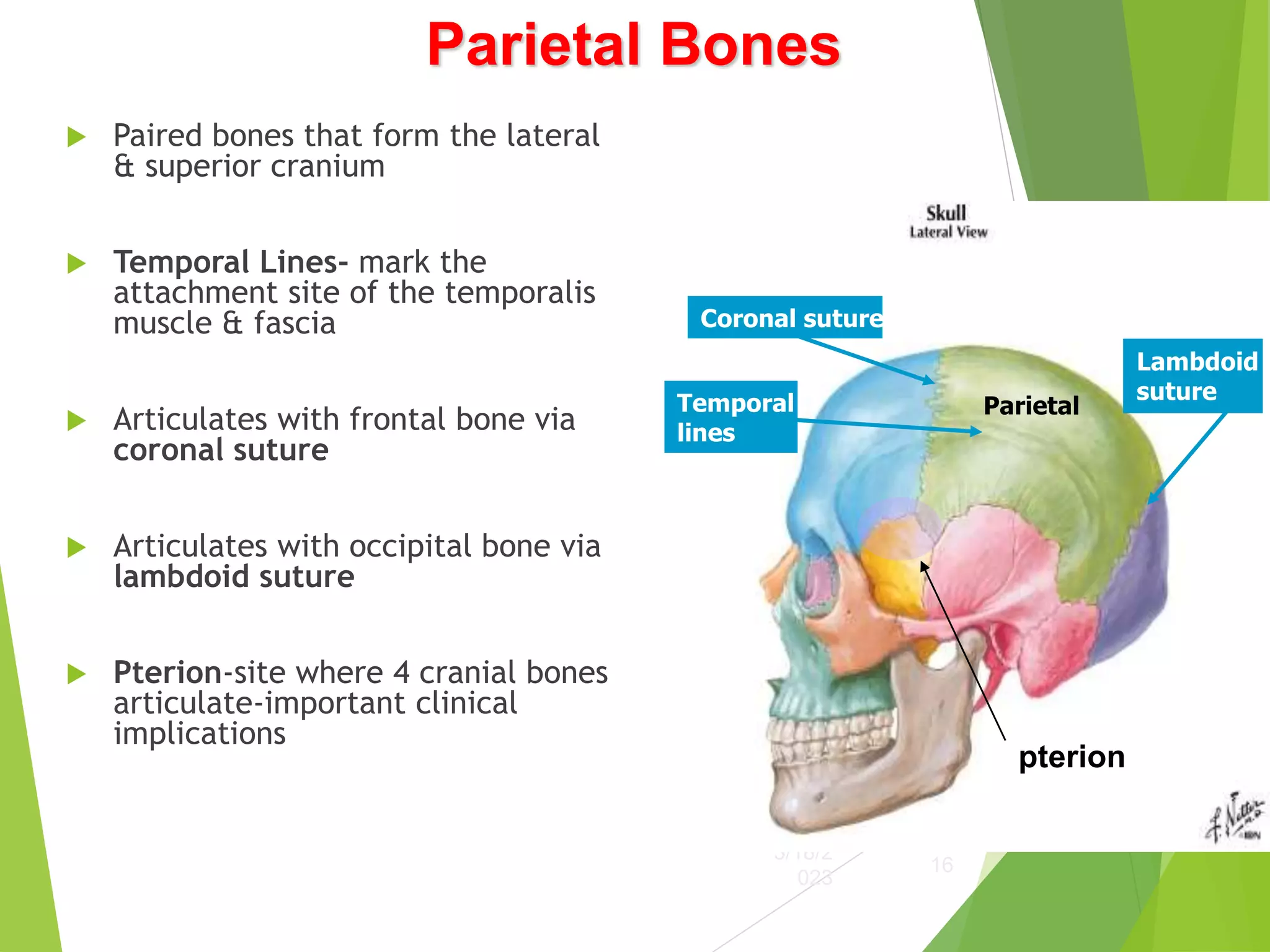 1. Osteology of Skull.ppt