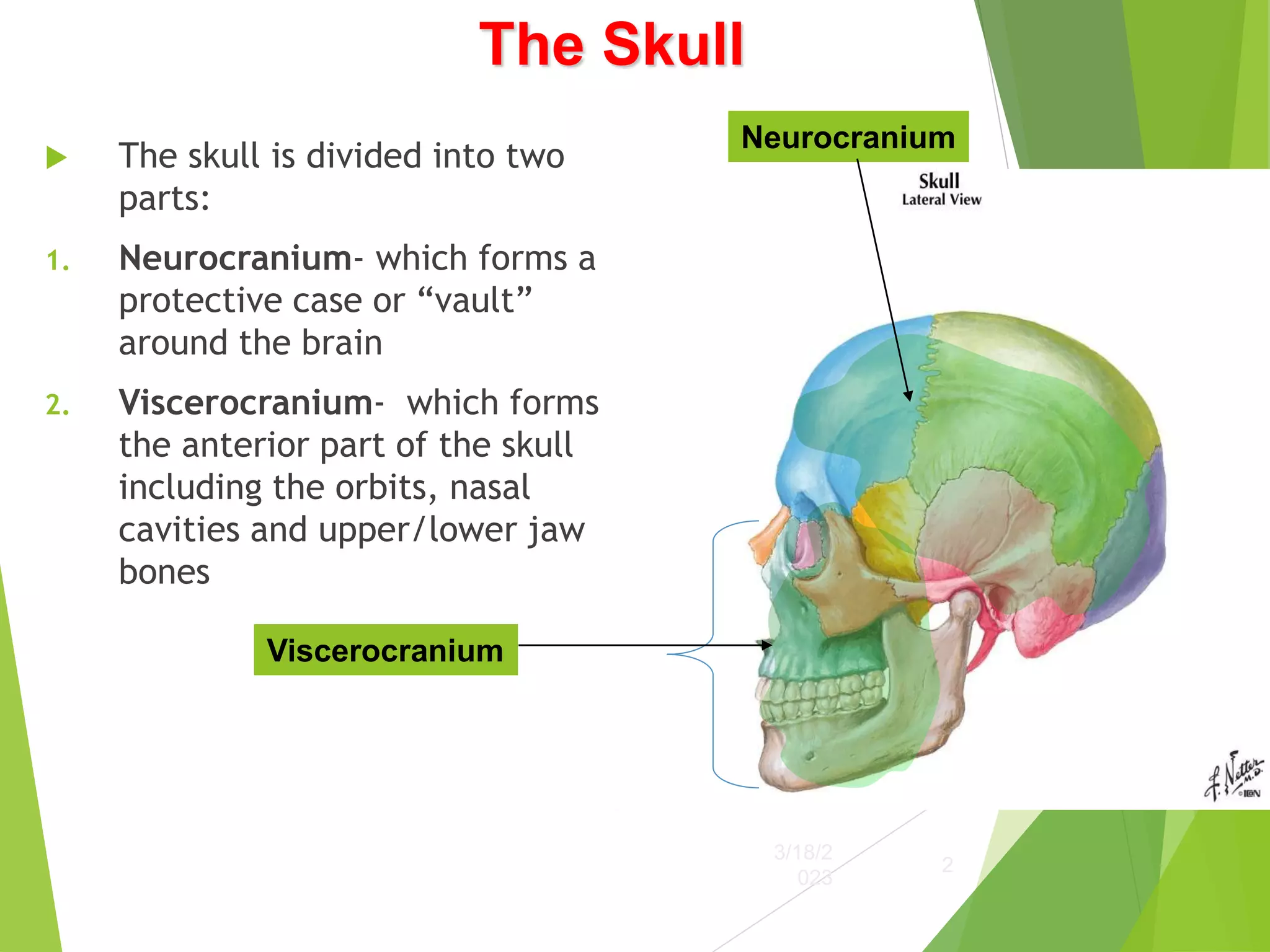 1. Osteology of Skull.ppt