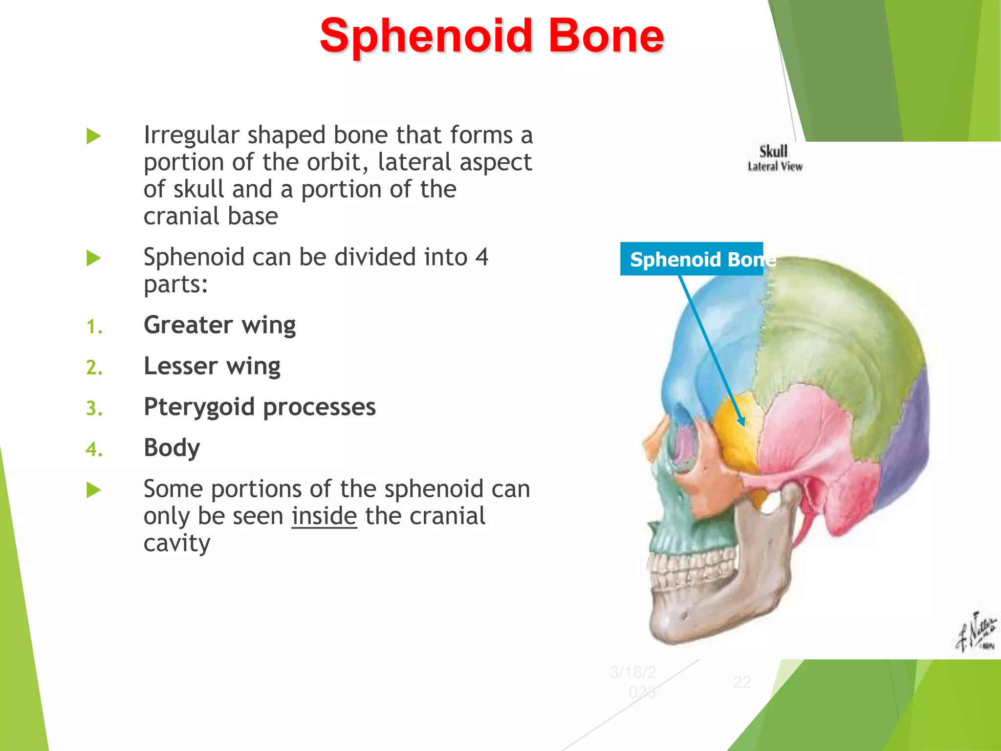 1. Osteology of Skull.ppt