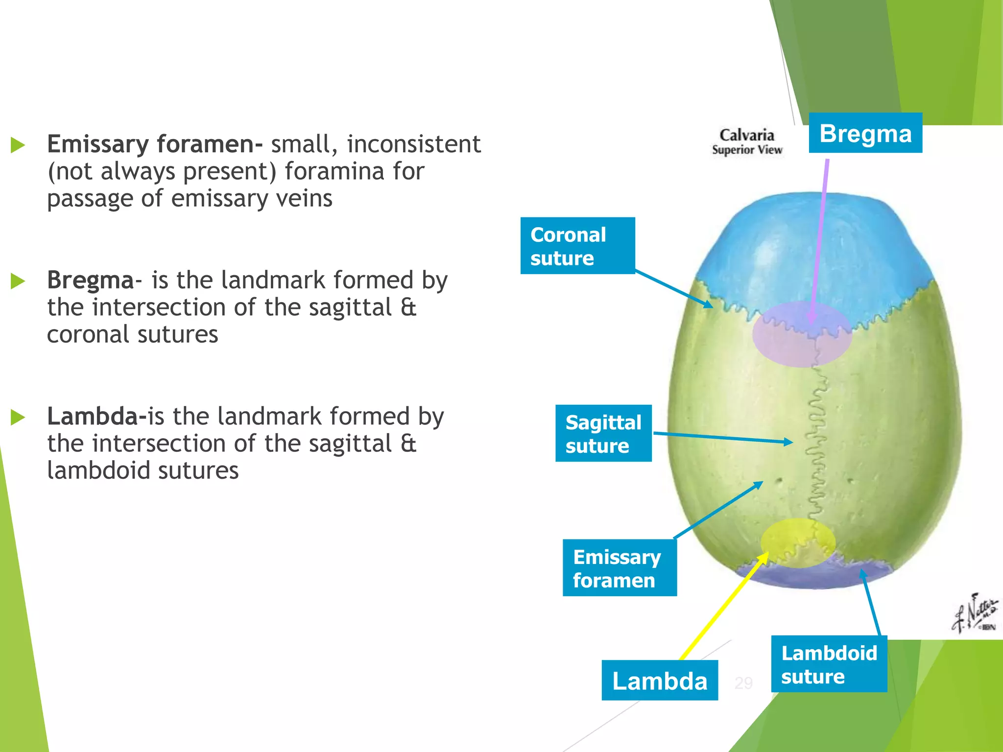 1. Osteology of Skull.ppt