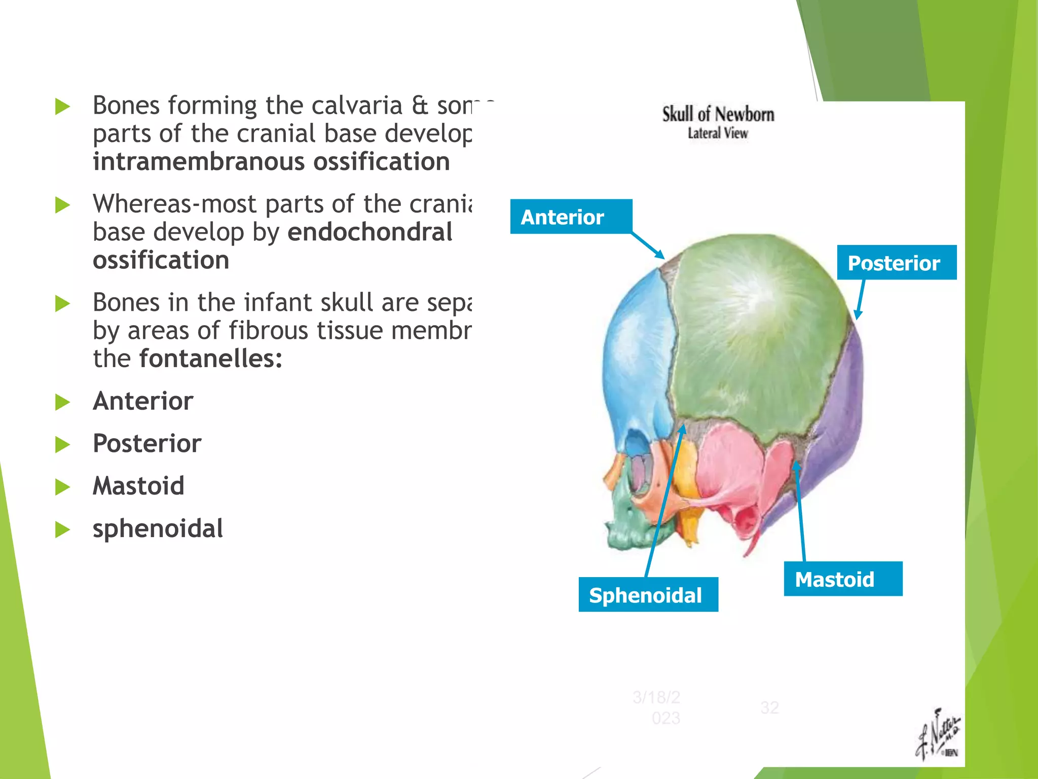 1. Osteology of Skull.ppt