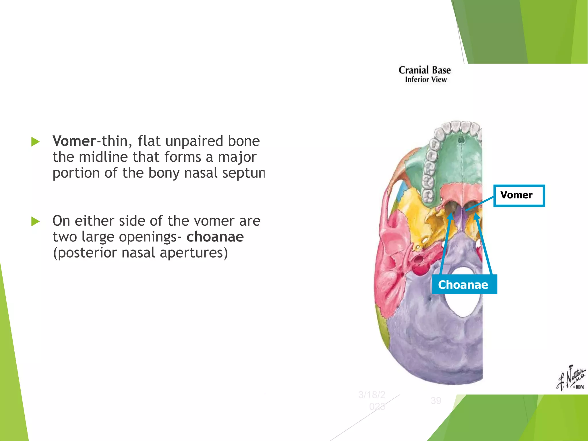 1. Osteology of Skull.ppt