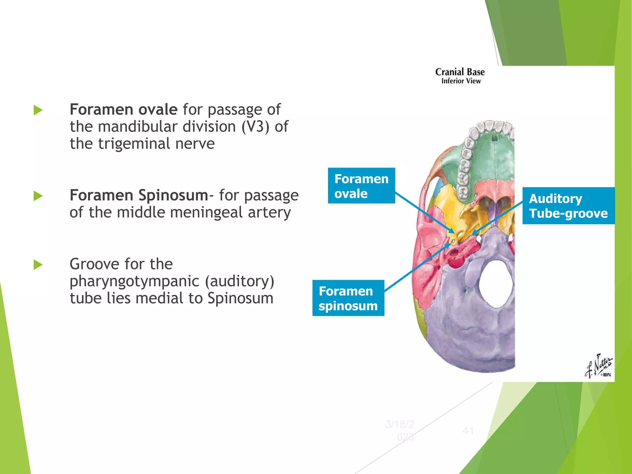 1. Osteology of Skull.ppt