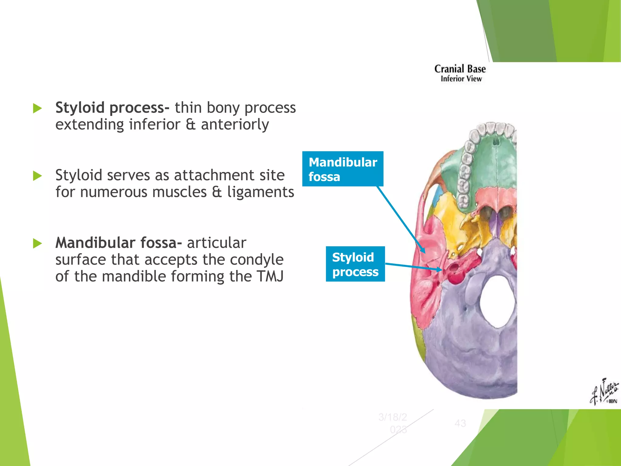 1. Osteology of Skull.ppt