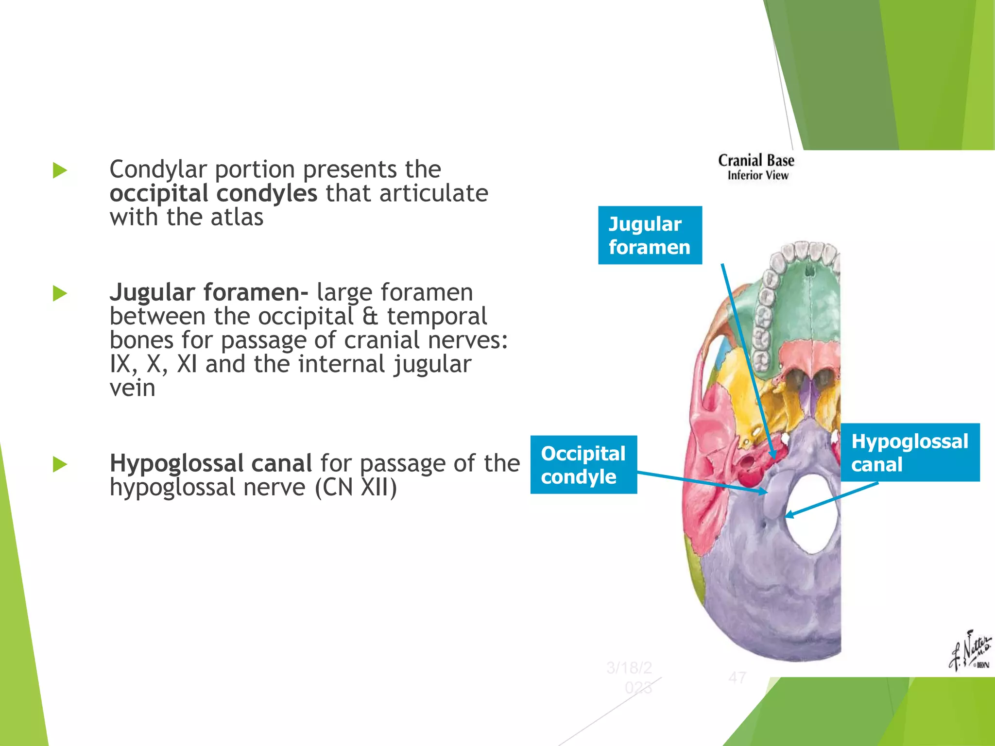 1. Osteology of Skull.ppt