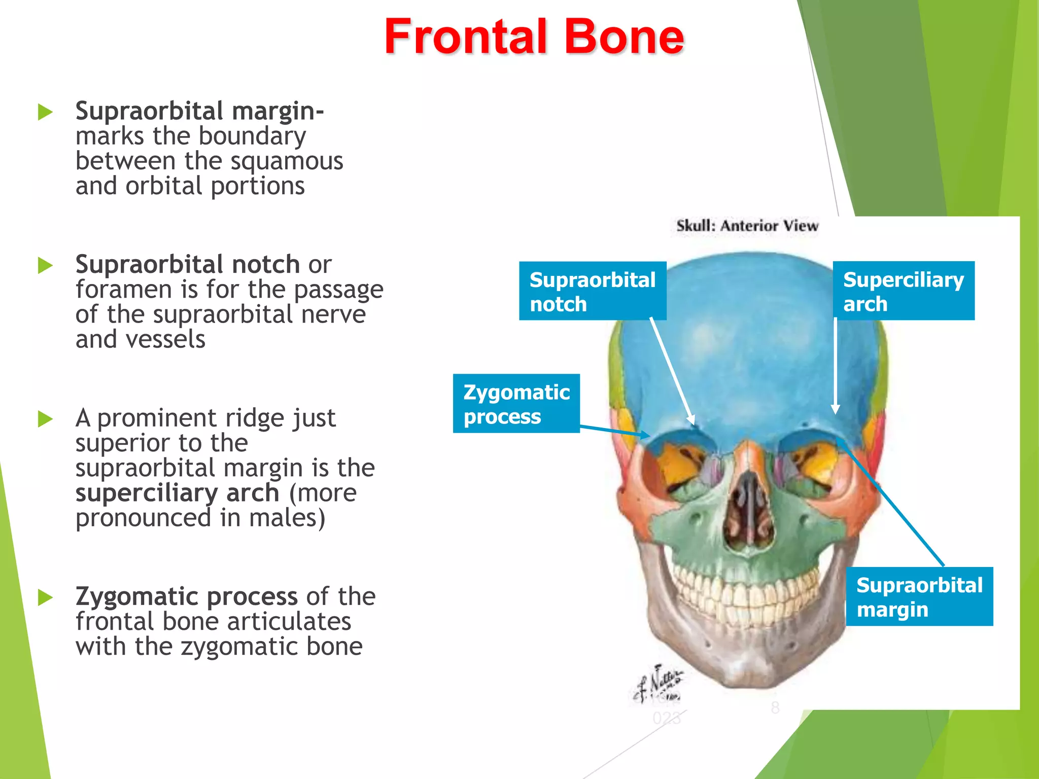 1. Osteology of Skull.ppt
