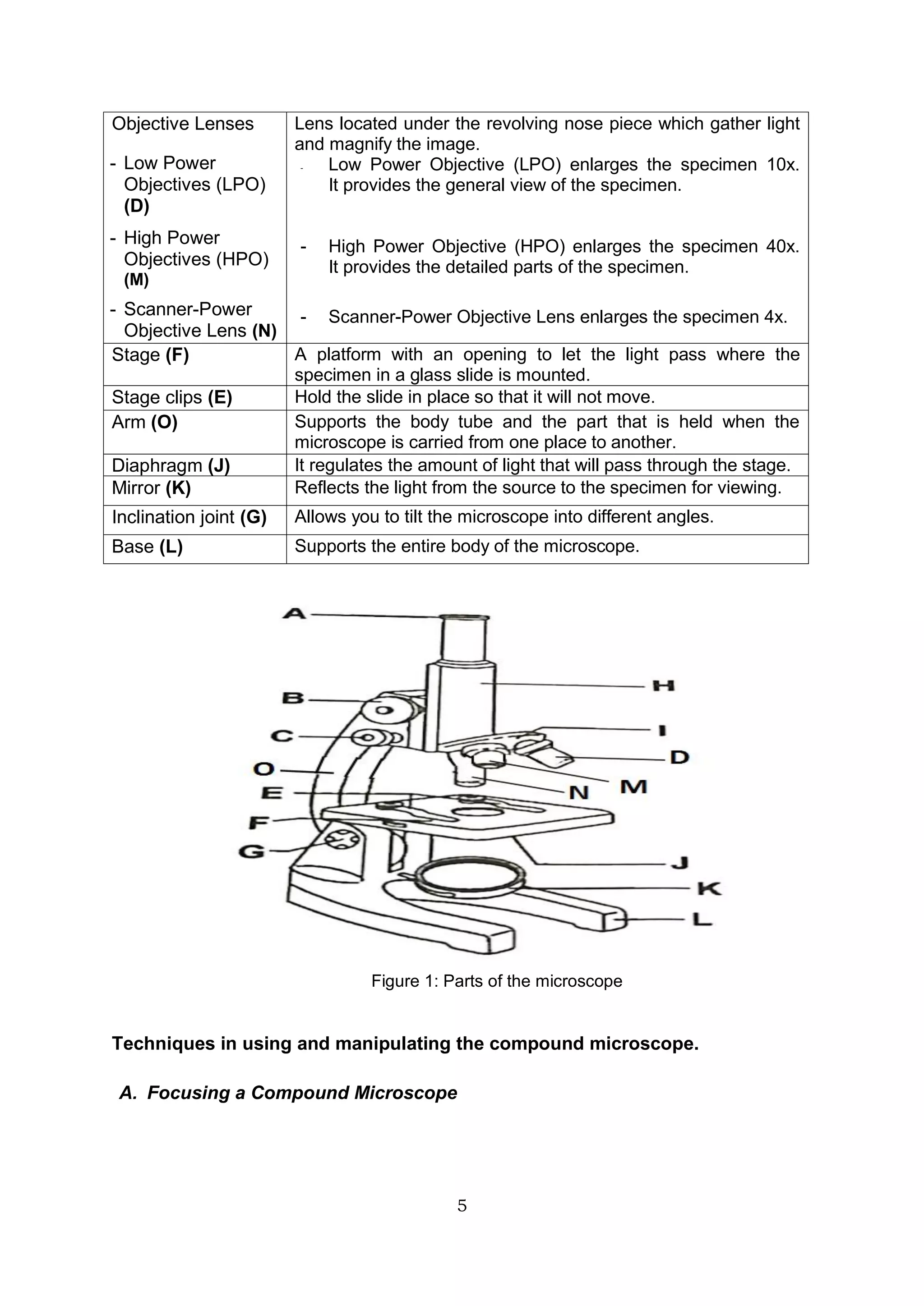 1. Grade-7-Q2-Module-1-Parts-and-Functions-of-the-Compound-Microscope-and-its-Manipulation-2nd ...
