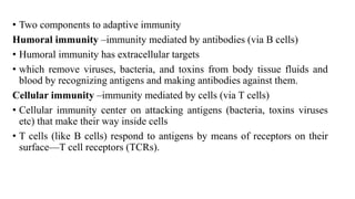1. adaptive immunity (final).pptx