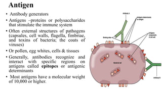 1. adaptive immunity (final).pptx