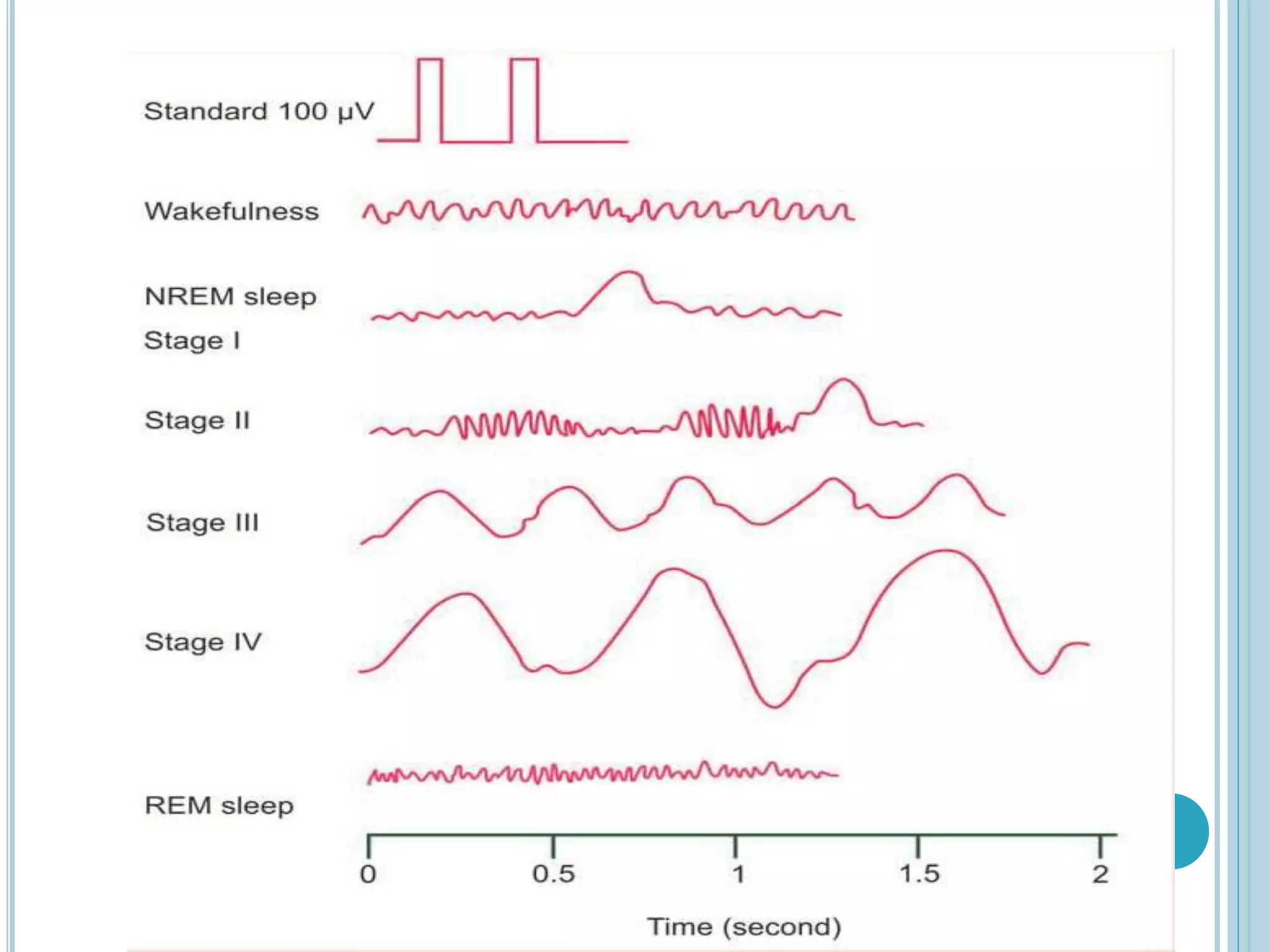 1.SLEEP PHYSIOLOGY.pptx