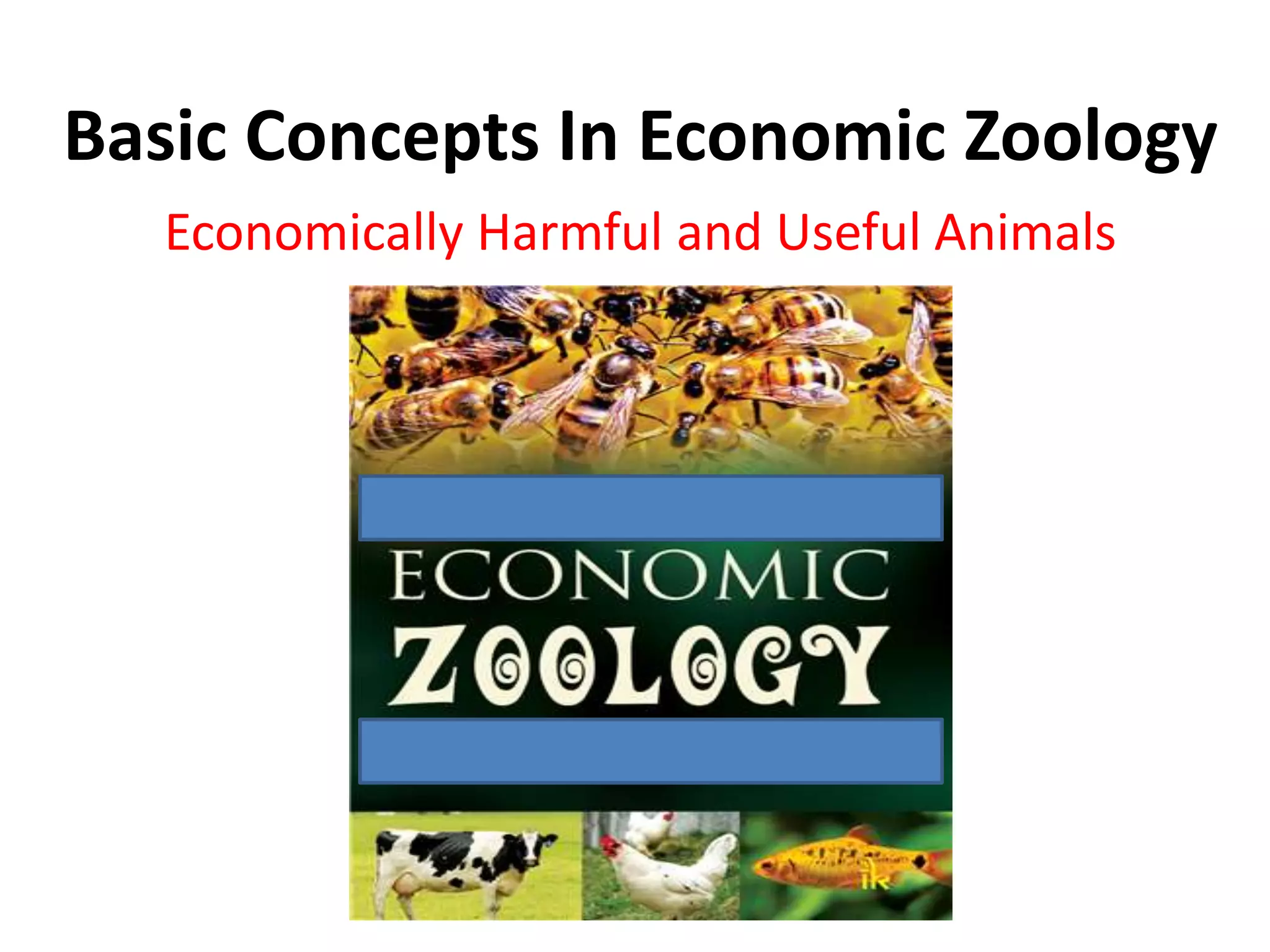 1. Basic concepts in Economic Zoology.pptx