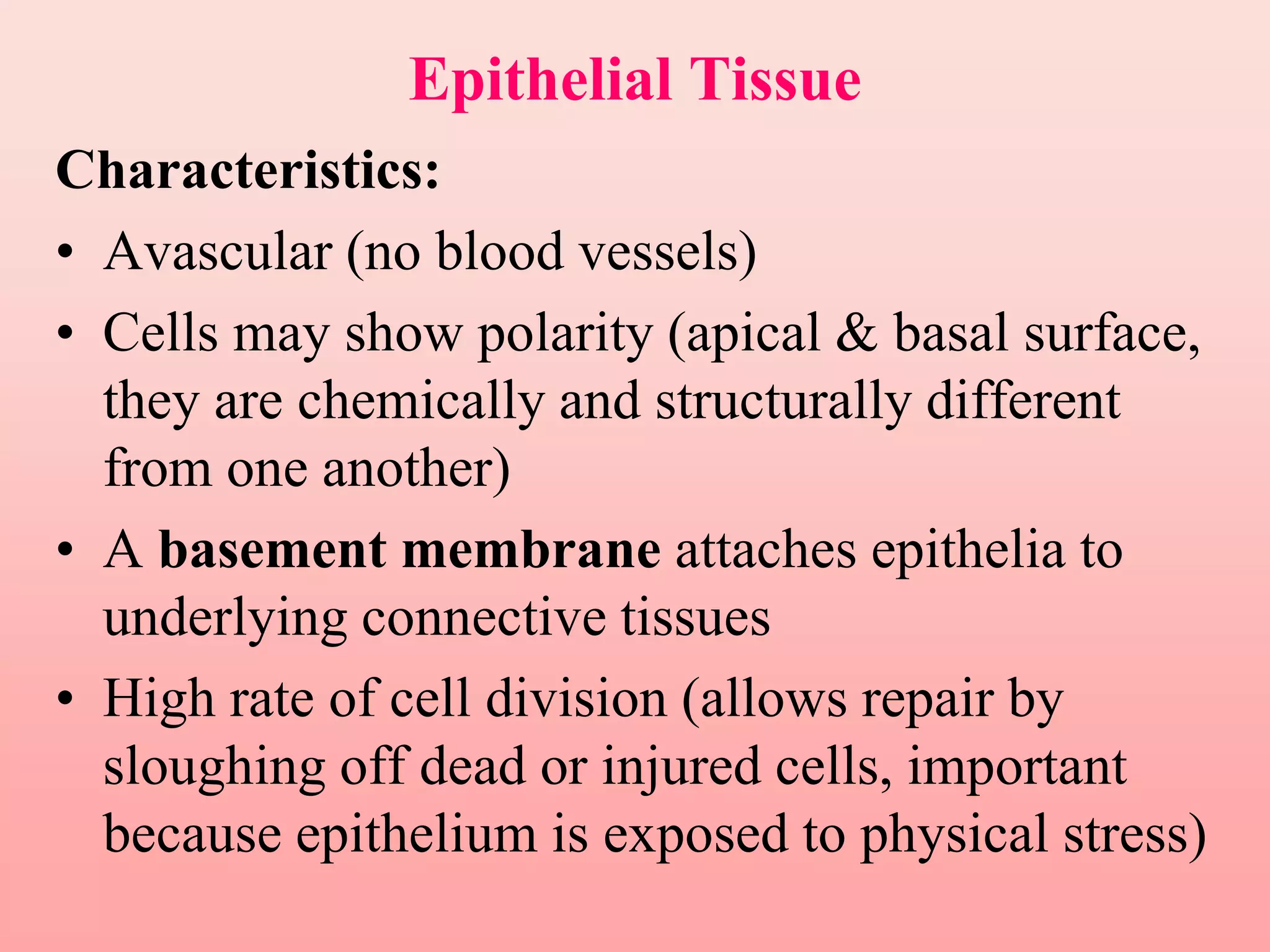 1.Epithelial Tissue.ppt