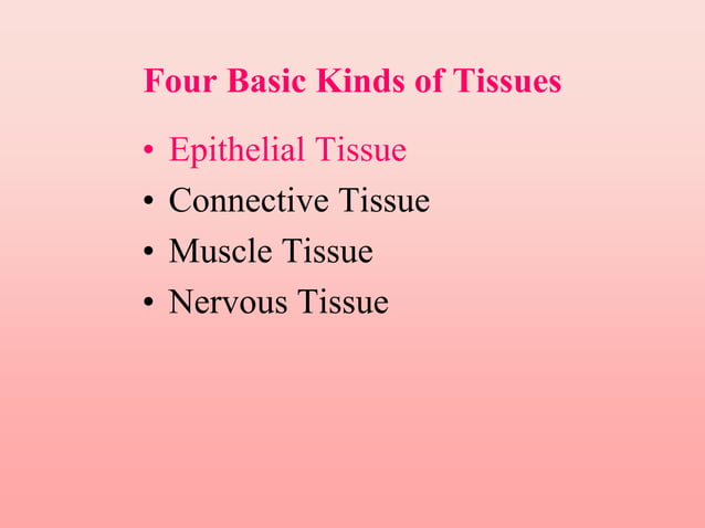 1.Epithelial Tissue.ppt