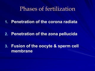 1.Fertilization.ppt