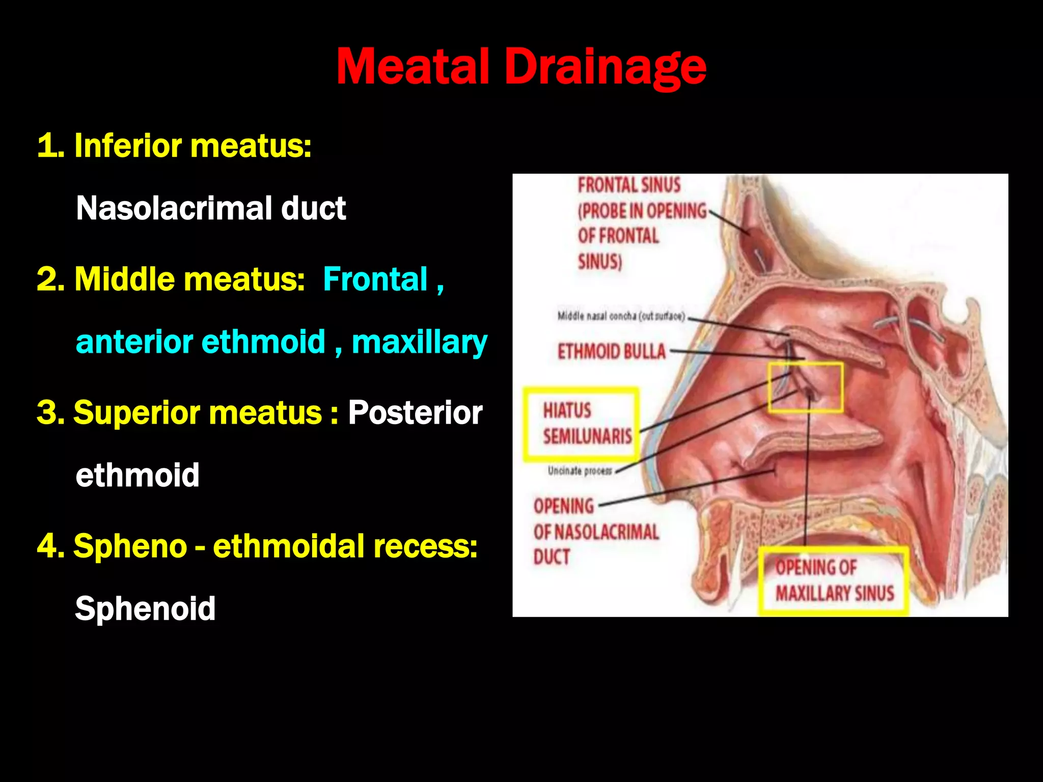 Anatomy and Physiology of nose & PNS.ppt
