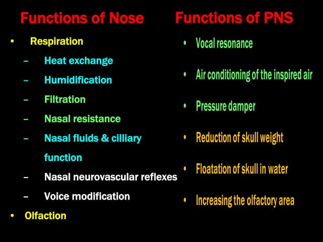 Anatomy and Physiology of nose & PNS.ppt