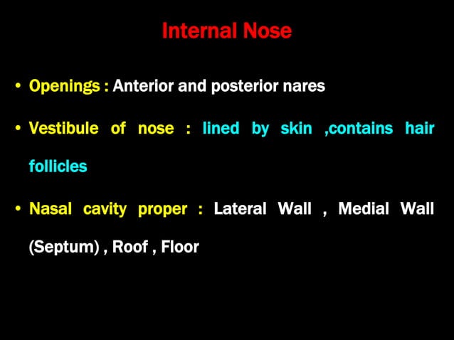 Anatomy and Physiology of nose & PNS.ppt