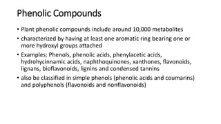 1. Biochemistry of Fruits and vegetables.pptx