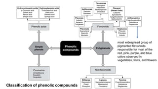 1. Biochemistry of Fruits and vegetables.pptx
