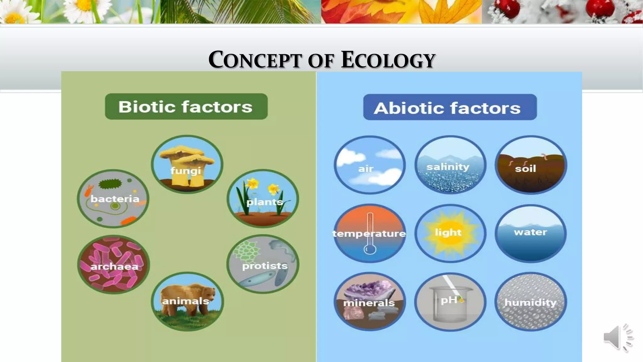 1. Ecology.pptx