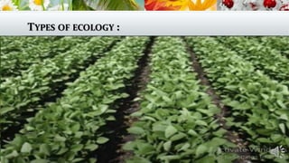 1. Ecology.pptx