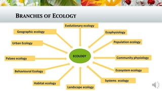 1. Ecology.pptx