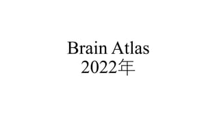 1. brain atlas.pdf