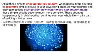 1. brain bee 概论 2022.pdf | Brain and Nervous System Disorders ...