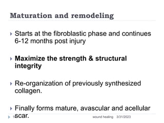 1.Wound healing.pptx