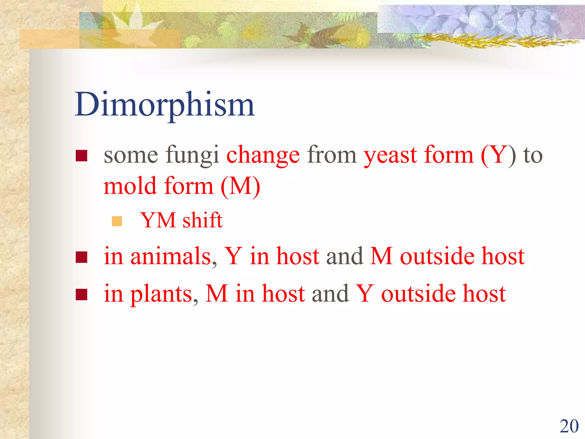 1.INTRODUCTION TO MYCOLOGY & CLASSIFICATION.ppt