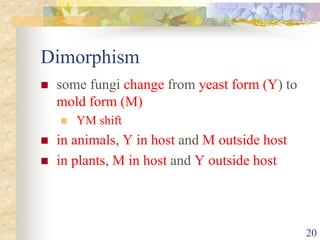 1.INTRODUCTION TO MYCOLOGY & CLASSIFICATION.ppt