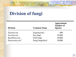 1.INTRODUCTION TO MYCOLOGY & CLASSIFICATION.ppt