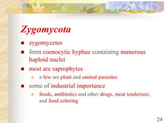 1.INTRODUCTION TO MYCOLOGY & CLASSIFICATION.ppt