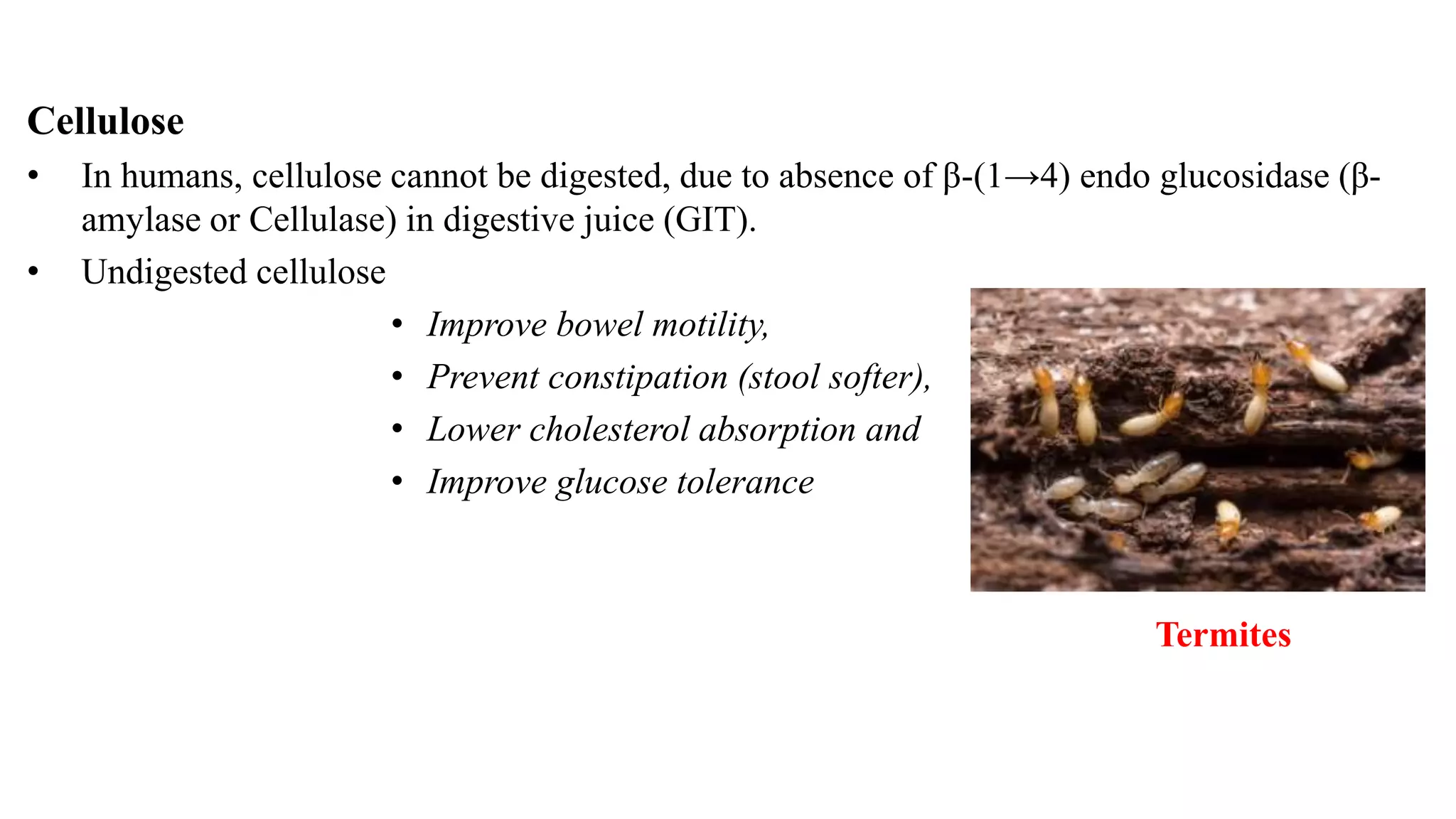 1.Digestion & absorption of carbohydrate.pptx