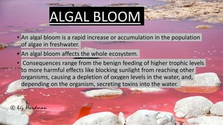 1. ALGAE FUNGI AND BRYOPHYTA.pptx | PPTX