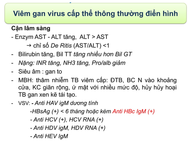 1. Viem gan VR 2022.pdf