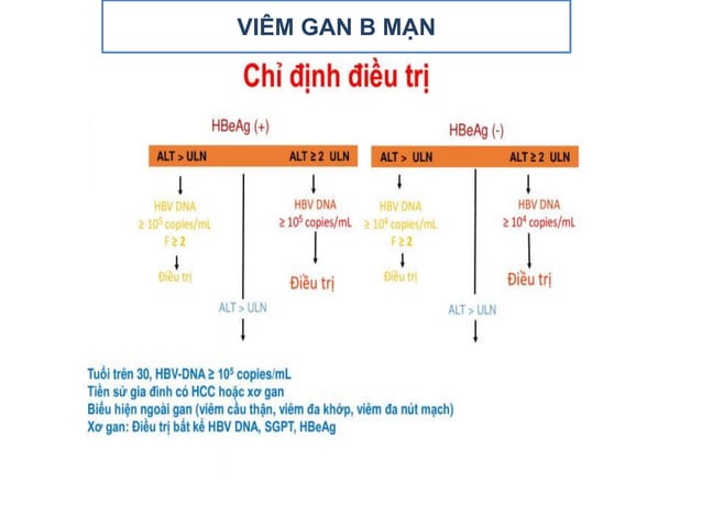 1. Viem gan VR 2022.pdf