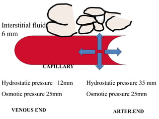 1. hemodynamic disorders edema, congestion.pptx