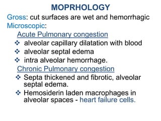 1. hemodynamic disorders edema, congestion.pptx