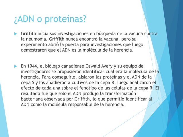 1. Estructura de la molécula de ADN.pdf