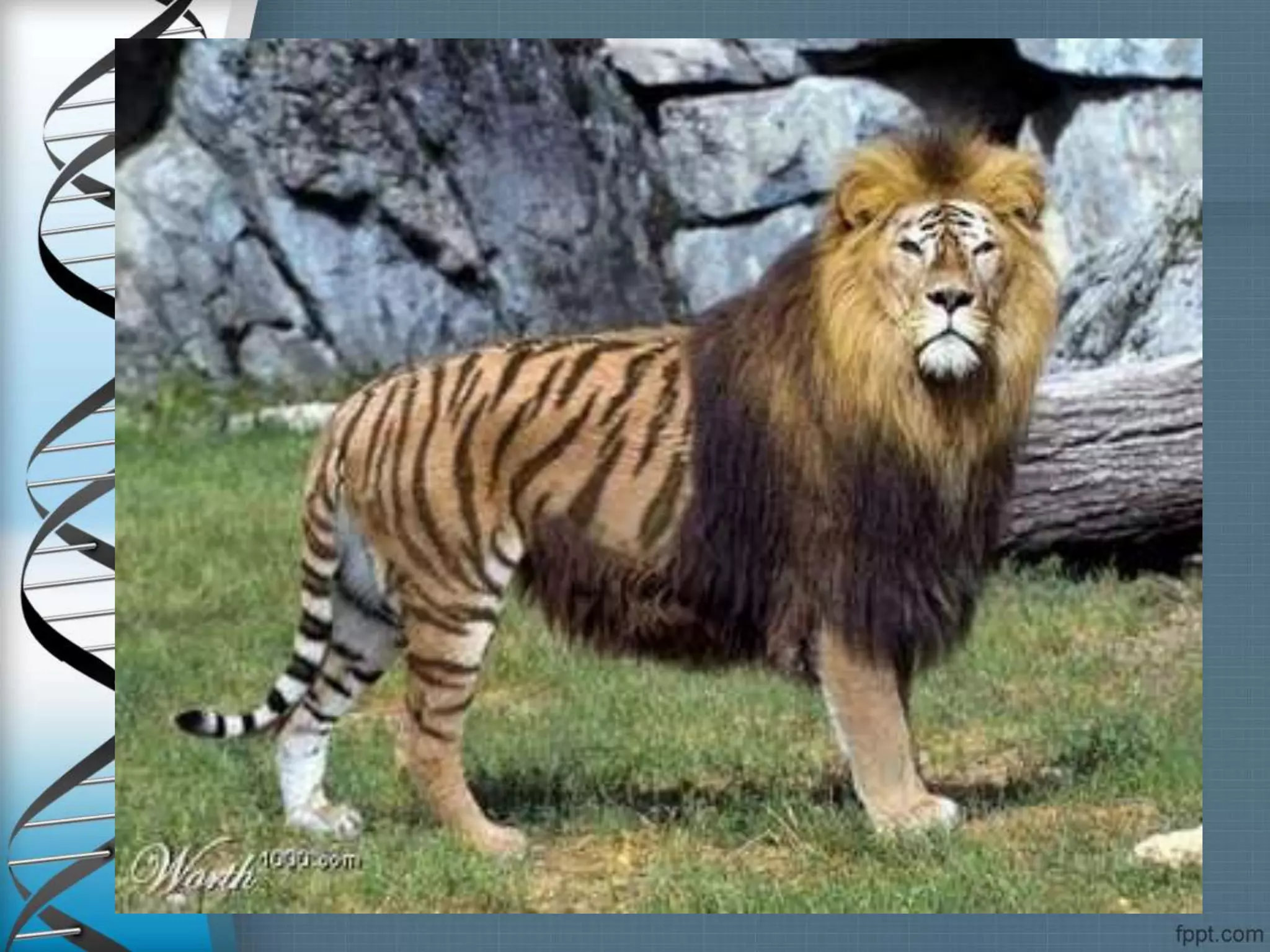 1. Genetic Engineering.ppt