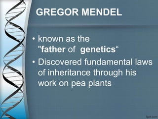 1. Genetic Engineering.ppt