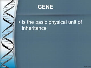 1. Genetic Engineering.ppt